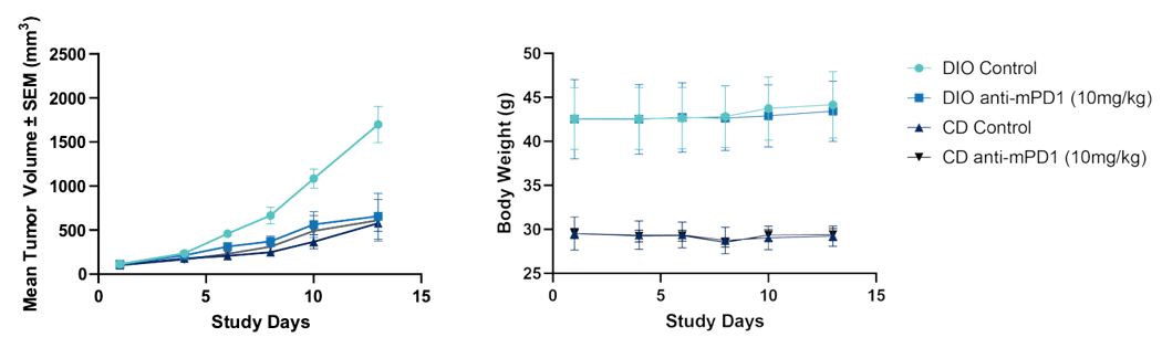 Diet Induced Obesity Model for Cancer Research - TD2 Precision Oncology