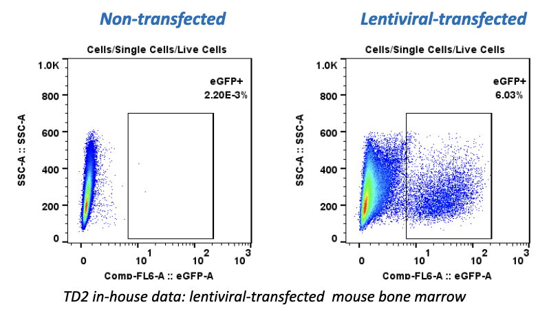 Advanced Preclinical Flow Cytometry Analysis Services