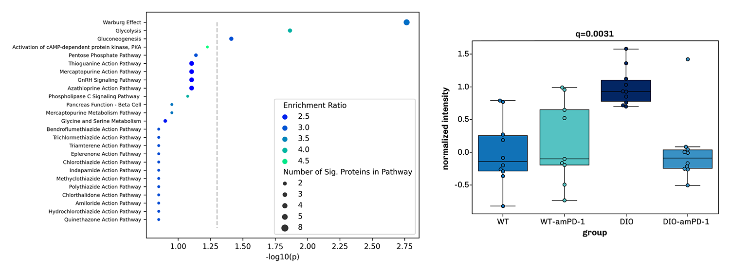 Enhance Your Research with TD2's Metabolomics & Proteomics Services ...