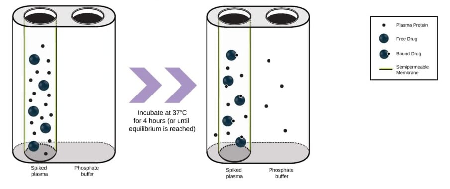 LP – Accelerate Your Oncology Drug Development with Complete DMPK ...