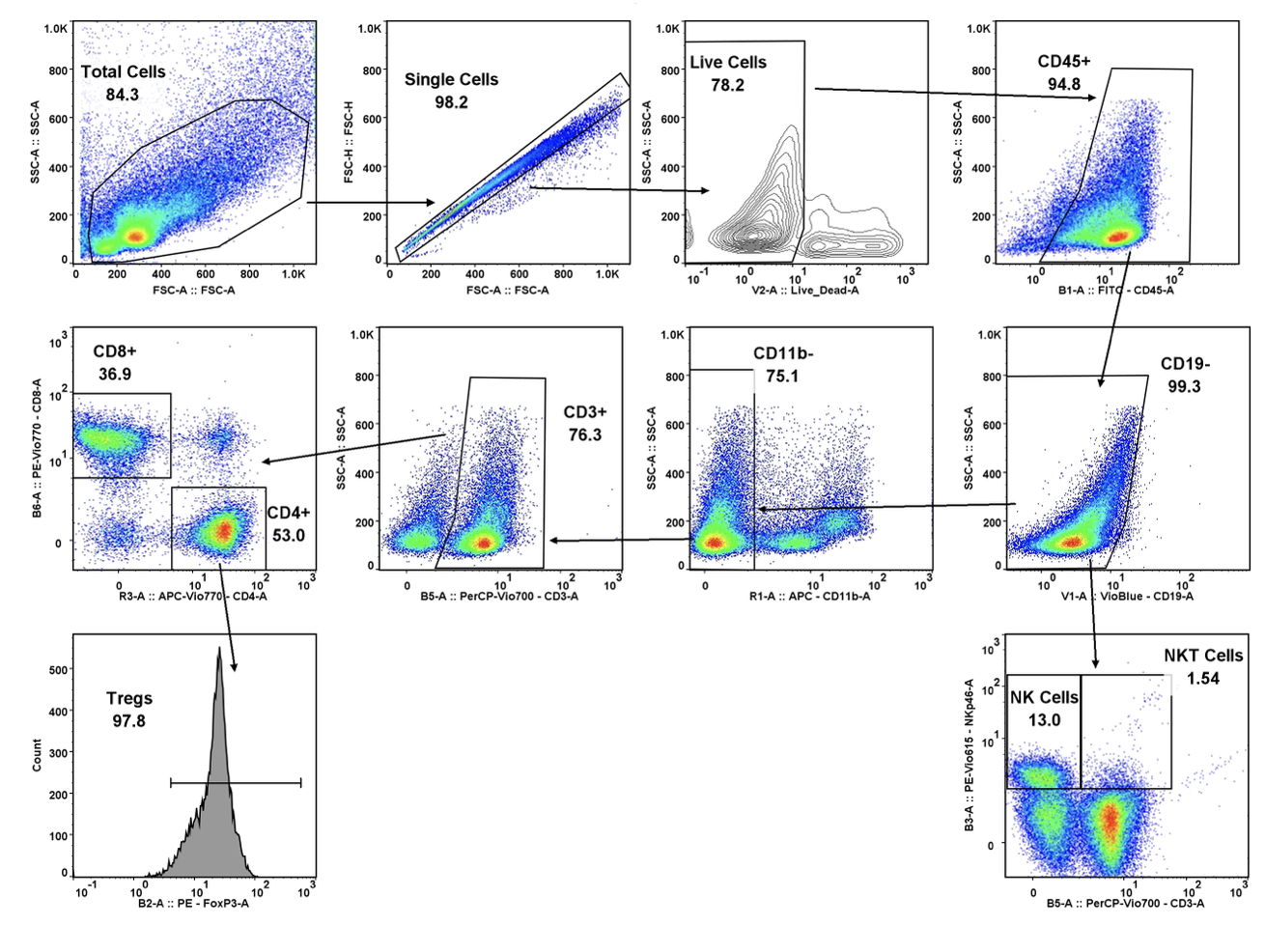 Advanced Preclinical Flow Cytometry Analysis Services