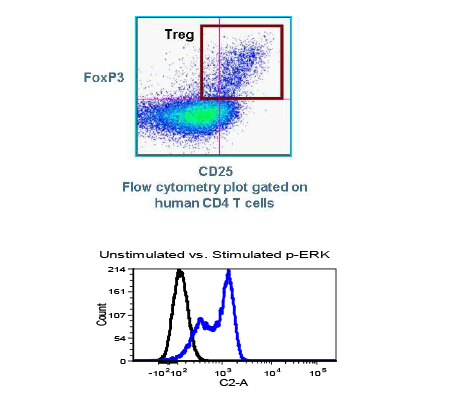 Flow Cytometry Services