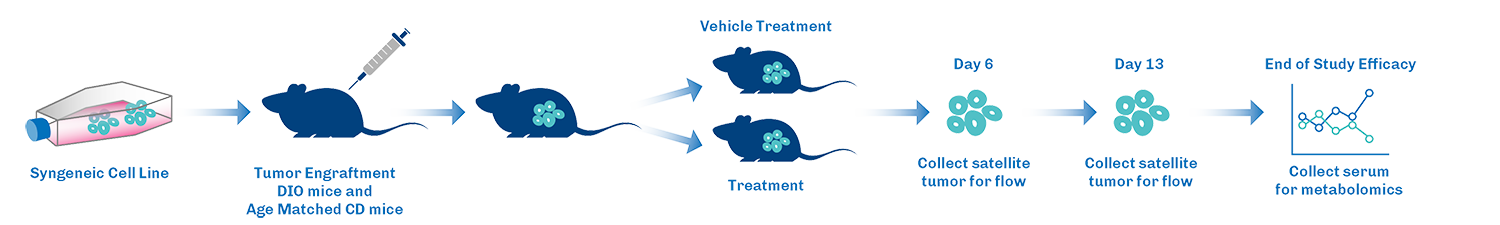 Diet Induced Obesity Model for Cancer Research - TD2 Precision Oncology