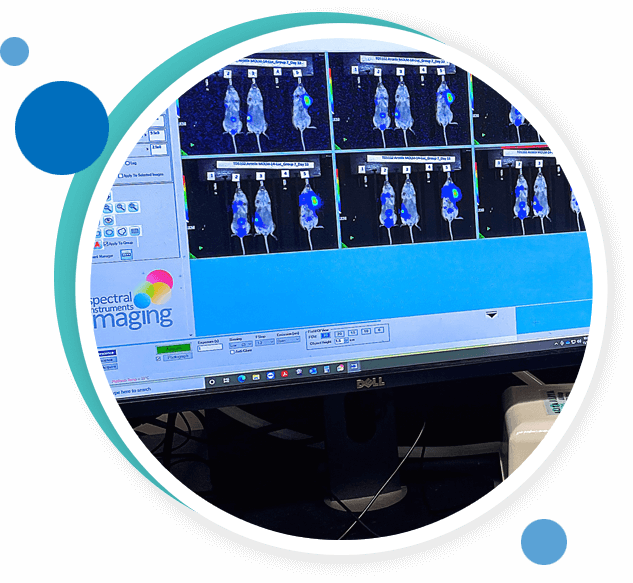 LP – Navigating The Depths Of Preclinical Oncology To Guide Your Cancer ...