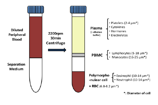 Advanced Preclinical Flow Cytometry Analysis Services