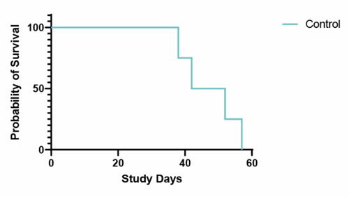 Advancing Oncology Research: Cell Line Derived Xenografts (CDX) for ... Advancing Oncology Research: Cell Line Derived Xenografts (CDX) for ...