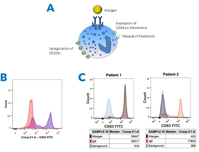 Functional Assays