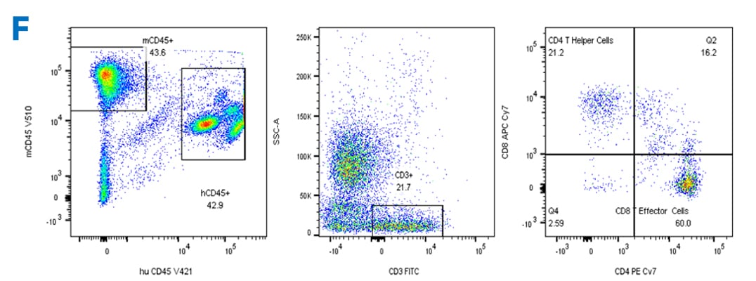 Immunophenotyping