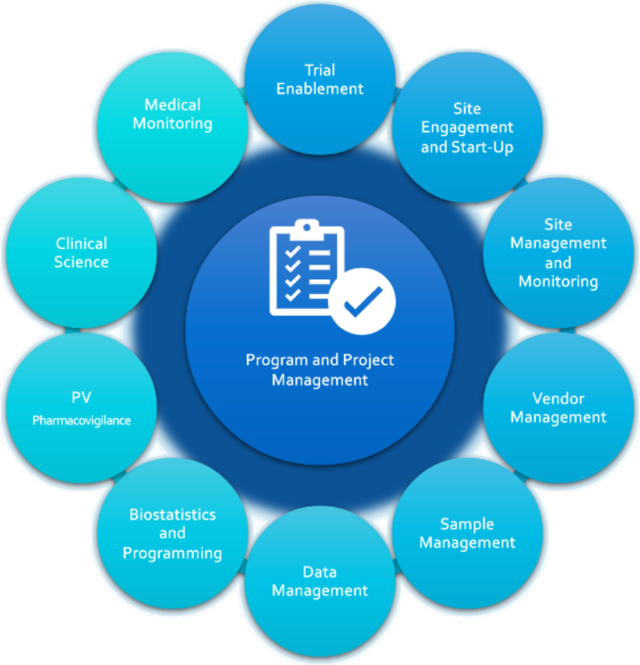 Clinical Study Management: Your Partner for Oncology Research Success ...
